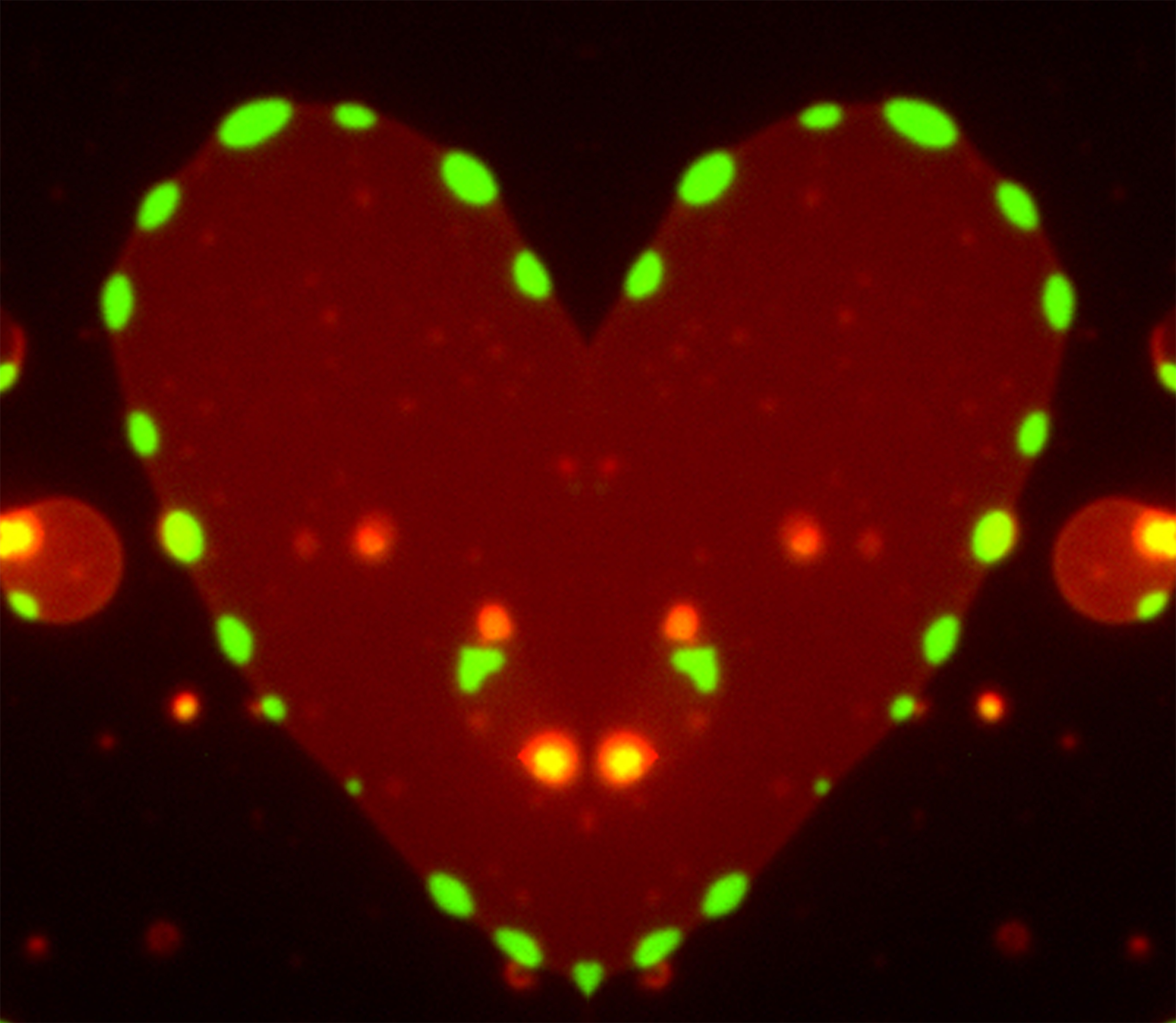 The Art of Science: Heart of Science | Biophysical Society