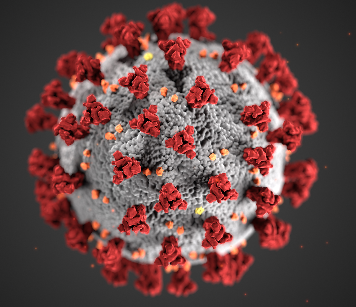 Coronavirus Structure, Vaccine and Therapy Development