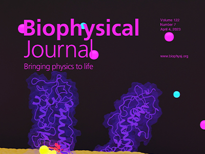 Activation Pathway Smoothened Receptor | Biophysical Society