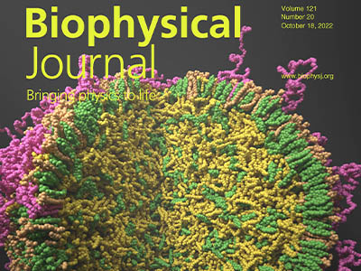 Transition of mRNA Lipid Nanoparticles | Biophysical Society