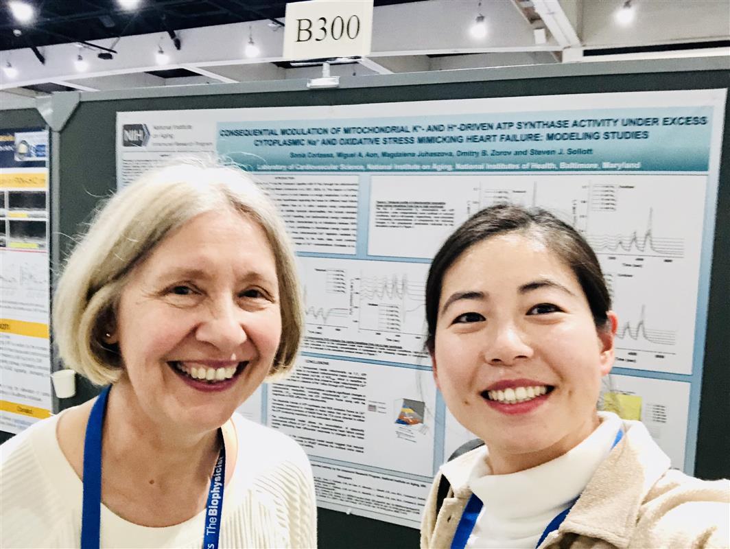 Homeodynamics for Health and Disease | Biophysical Society