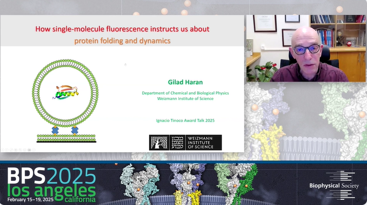 2025 Ignacio Tinoco Awardee | Biophysical Society