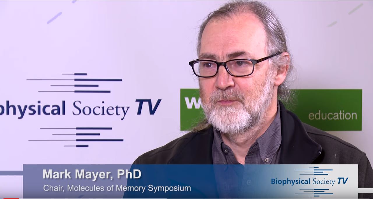 Interview Mark Mayer, Chair of Molecules of Memory Symposium - BPS 2015