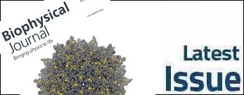 The Biophysical Journal | The Biophysical Society