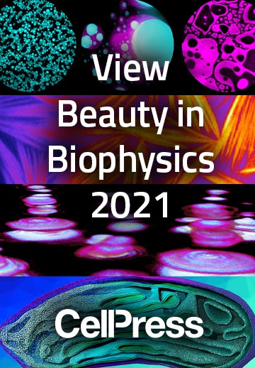 Biophysics Week | The Biophysical Society